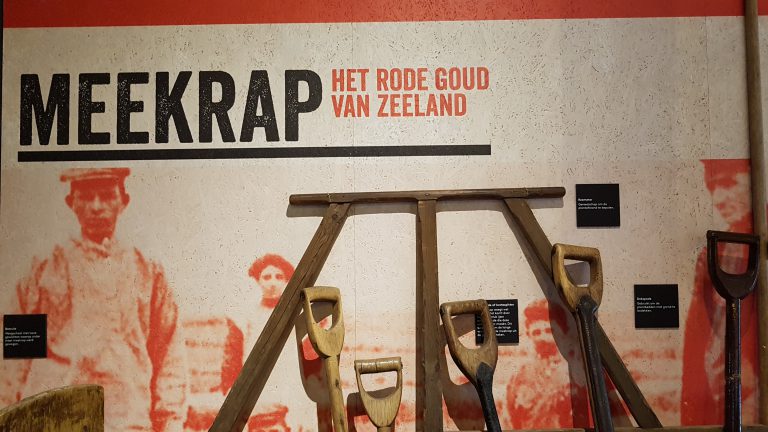 MEEKRAP, van wortel tot rode verfstof - FarmTime