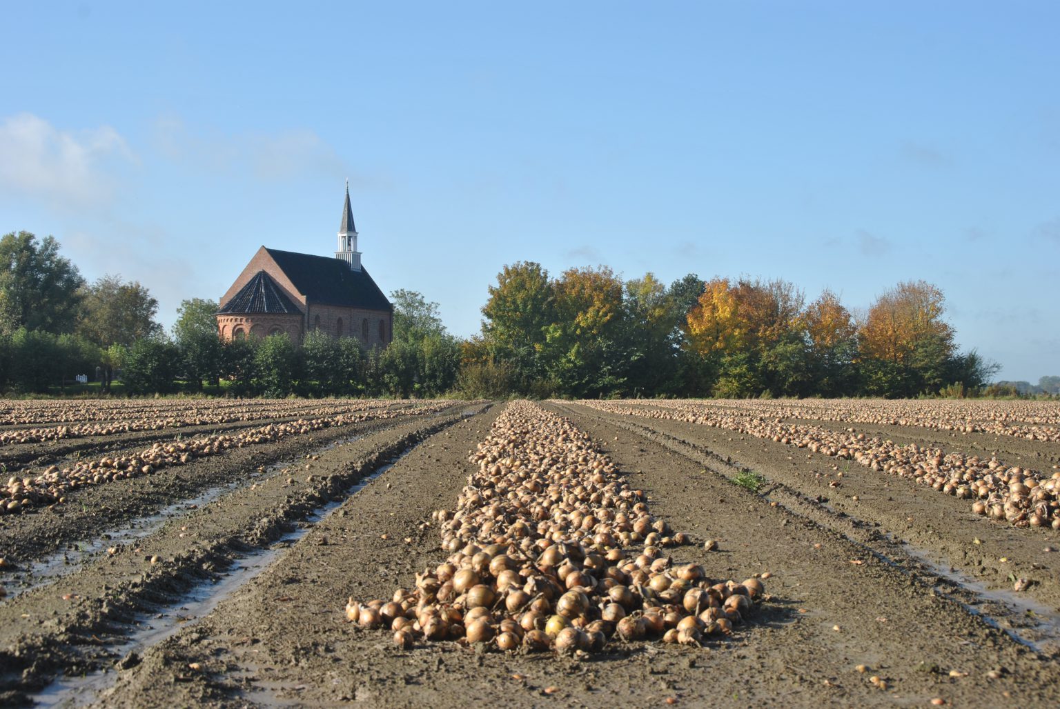 Foto's van het Oogsten - FarmTime